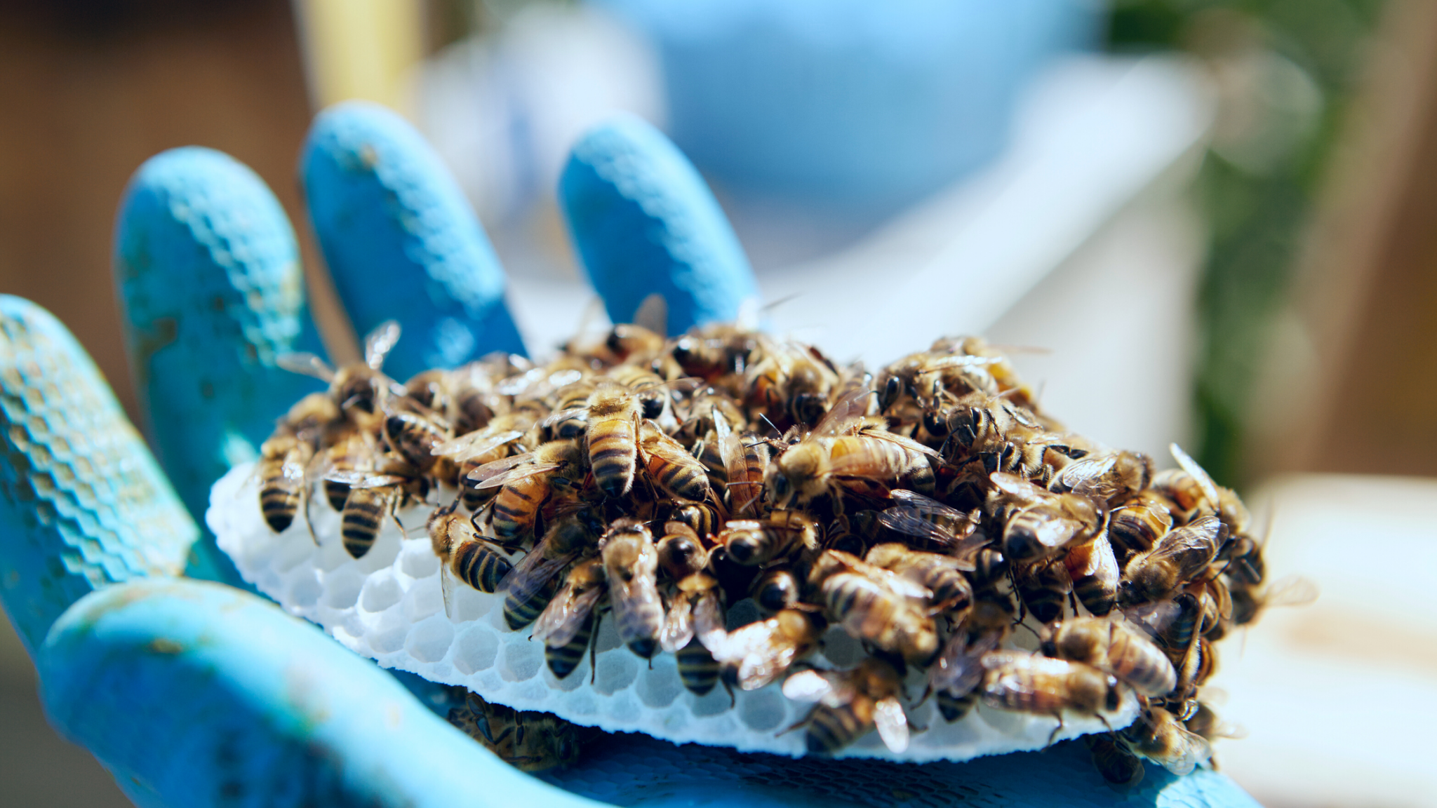 3D Printing in Action: Animals Given New Life With 3D-Printed Aid ...