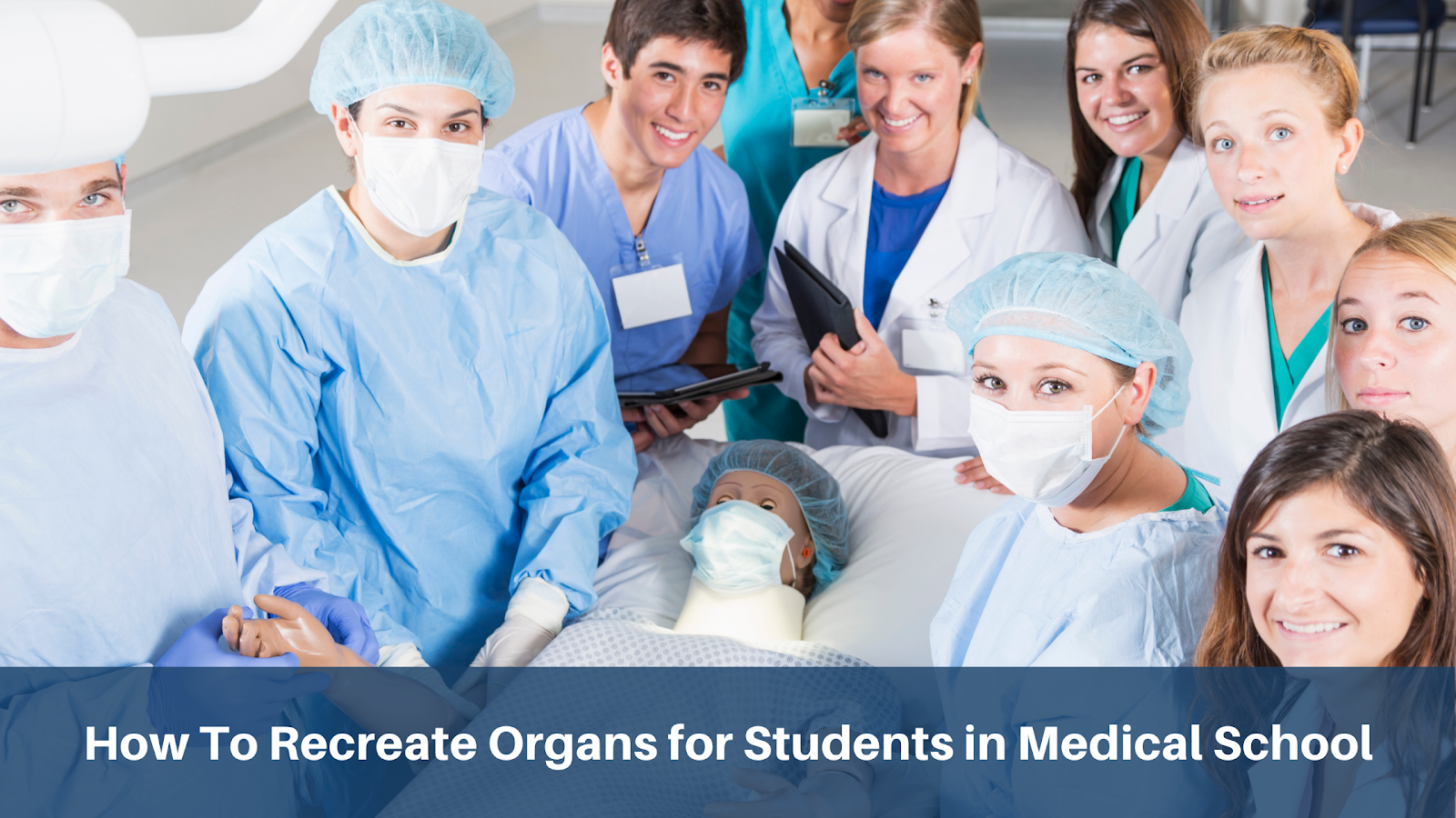Recreating Organs for Medical School Through Bioprinting | TTA